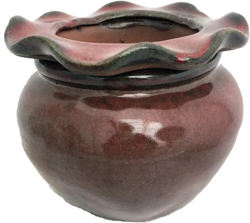 Amazon.com: Scallop Round Self Watering Glazed Ceramic Pot - Oxblood ...