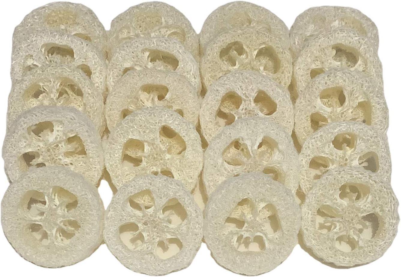 Amazon.com: 2cm Natural Loofah Cuts Loofah Slices for Soap Making or ...