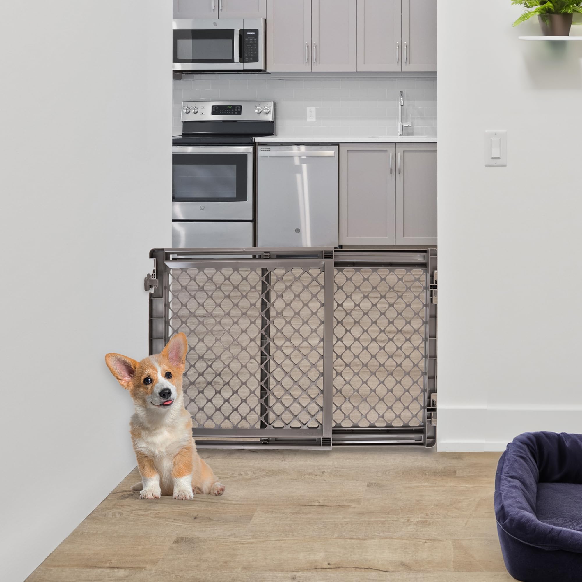 Amazon.com: North States MyPet 2-in-1 Easy Swing Petgate: 27"-41" Wide ...