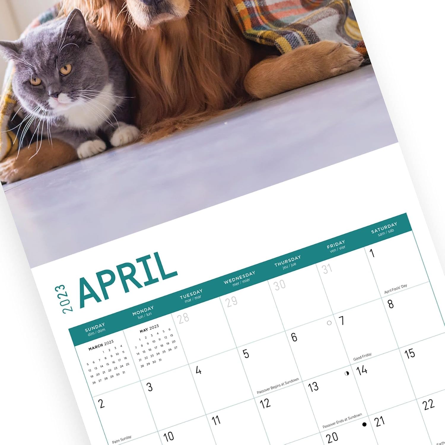 2023 Dogs and Cats Wall Calendar by Bright Day, 12 x 12 Inch, Cute Dog ...