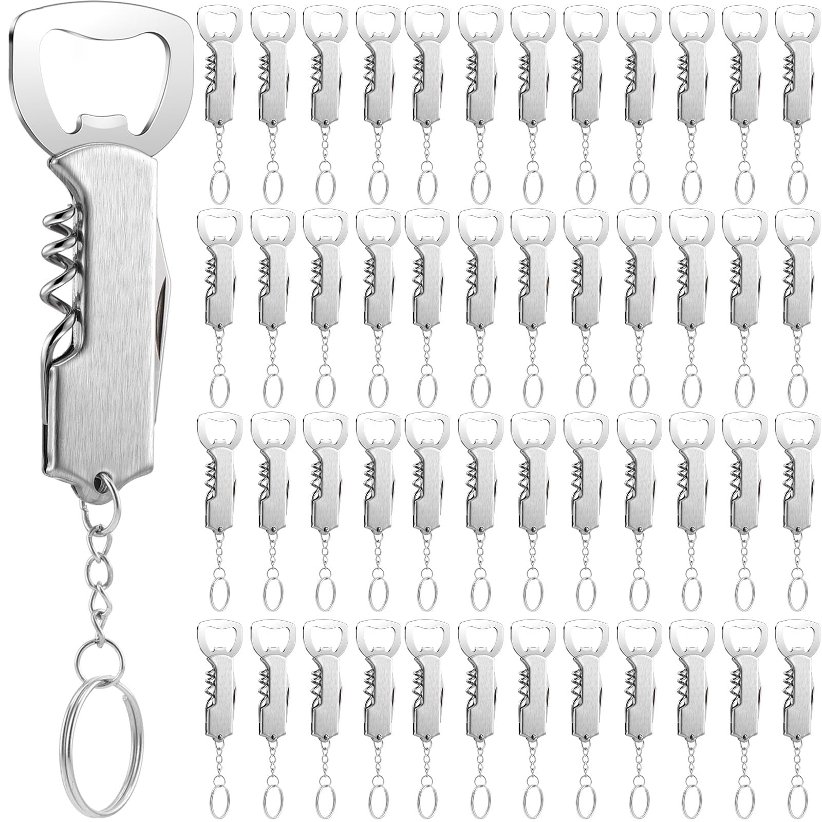 Amazon.com: Ziliny 48 Pcs Bottle Opener Keychain Bulk Wine Bottle Beer ...