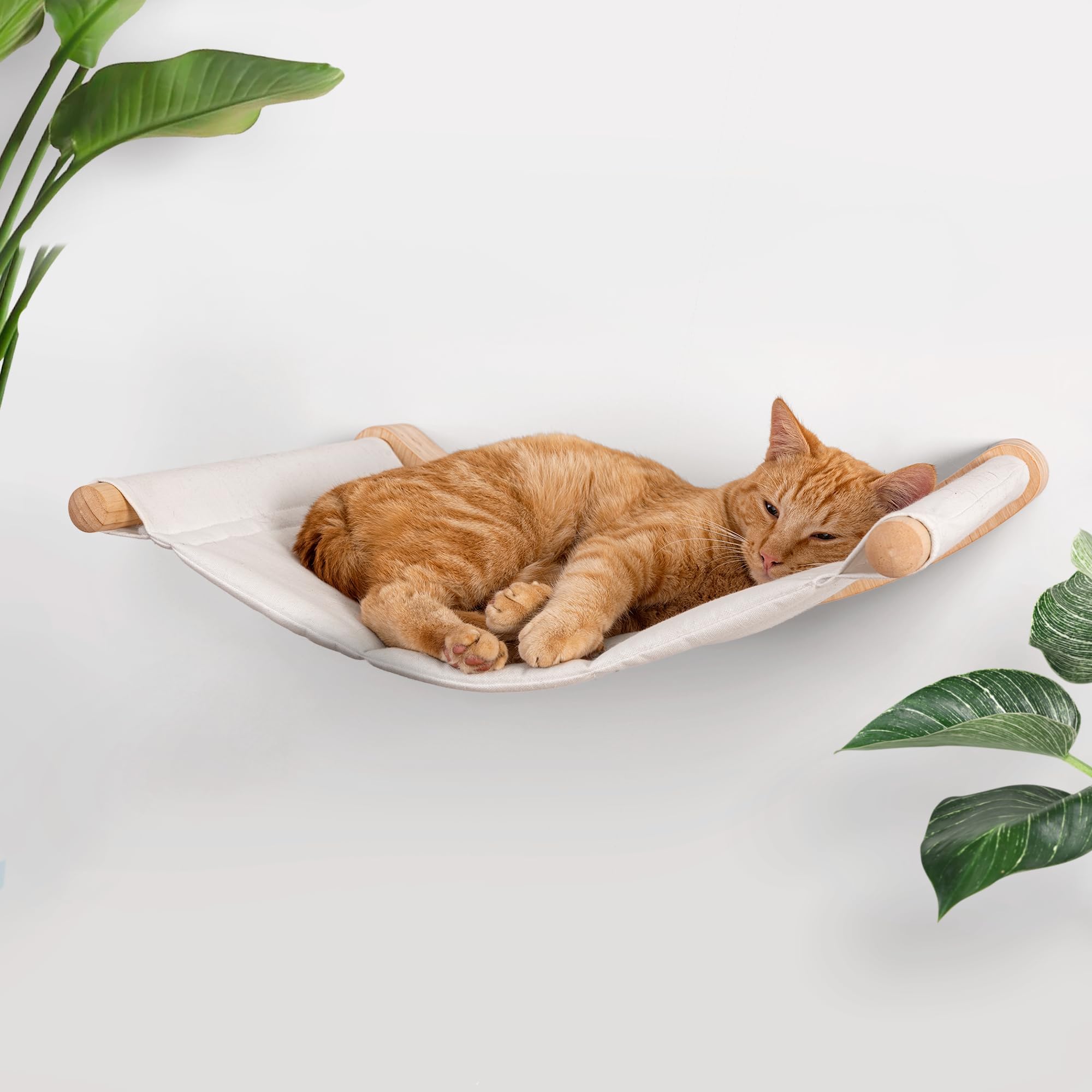 Amazon.com: 7 Ruby Road Cat Hammock Wall Mounted for Large and Indoor ...