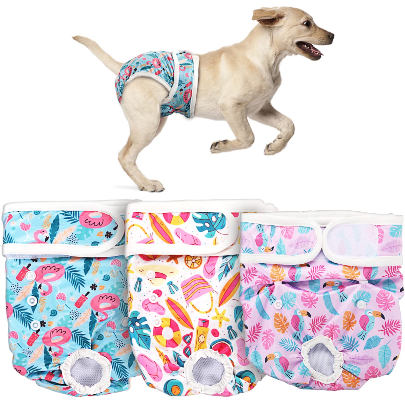 Female Dog Period