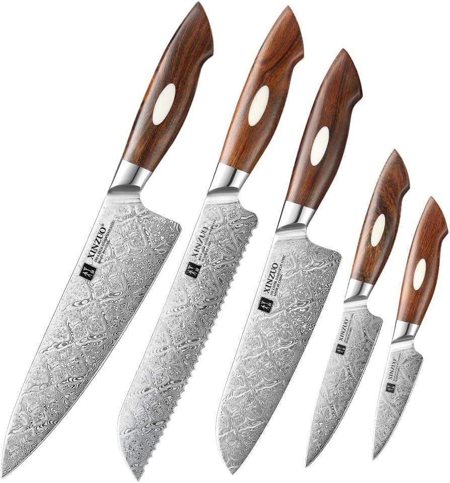Amazon.com: XINZUO 5PCS Chef Knife Set,110 Layers Damascus Steel Chef ...
