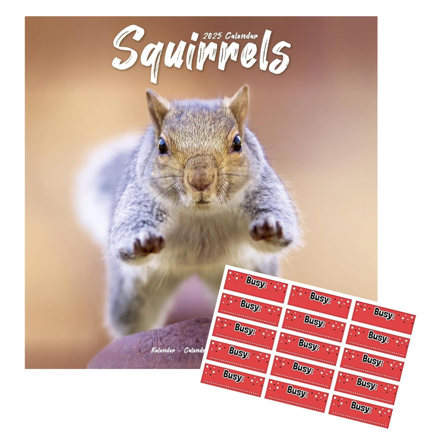Squirrels Calendar 2025 | Square Wall Calendar | 16 Month | September ...
