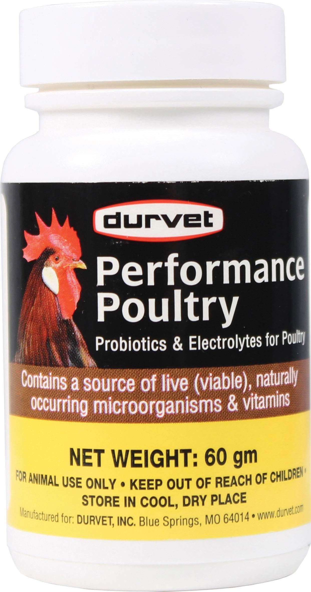 Amazon.com : Durvet Healthy Flock Poultry Probiotics : Pet Supplies