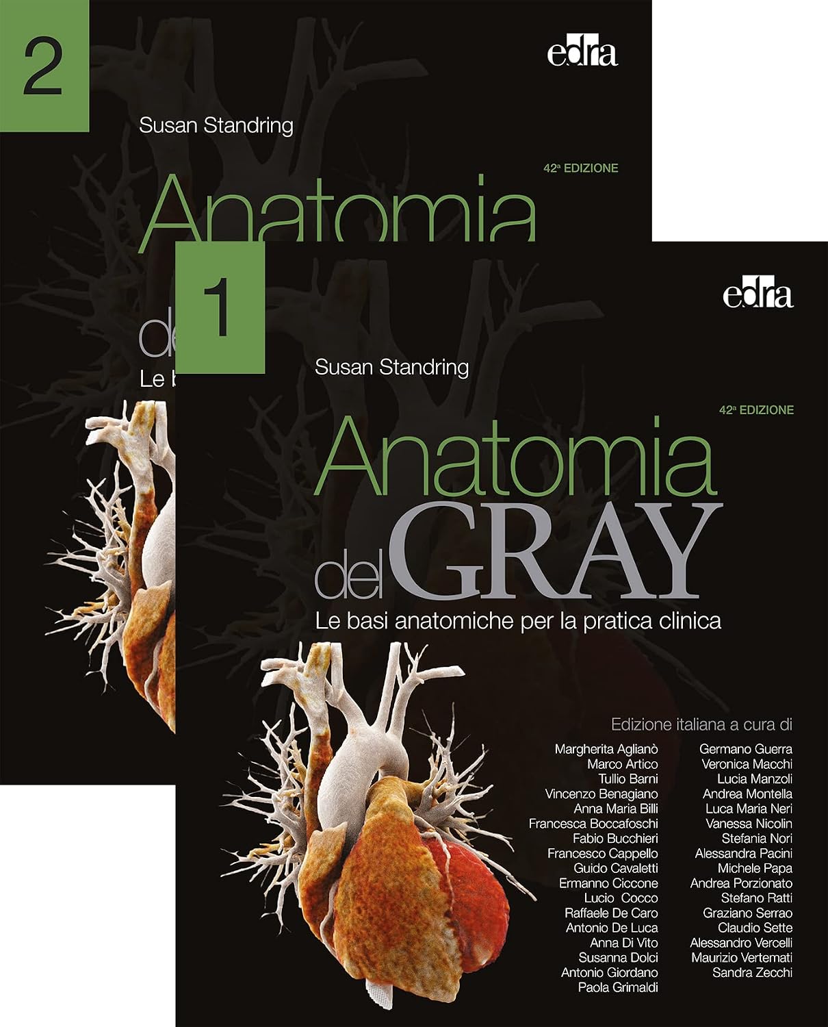 Anatomia del Gray. Le basi anatomiche per la pratica clinica (Vol. 1-2 ...