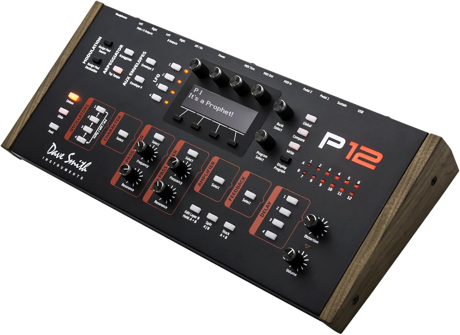 Amazon.com: Dave Smith Instruments Prophet 12 Synth Module : Musical ...