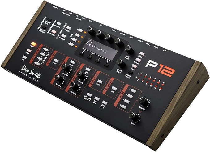 Amazon.com: Dave Smith Instruments Prophet 12 Synth Module : Musical ...
