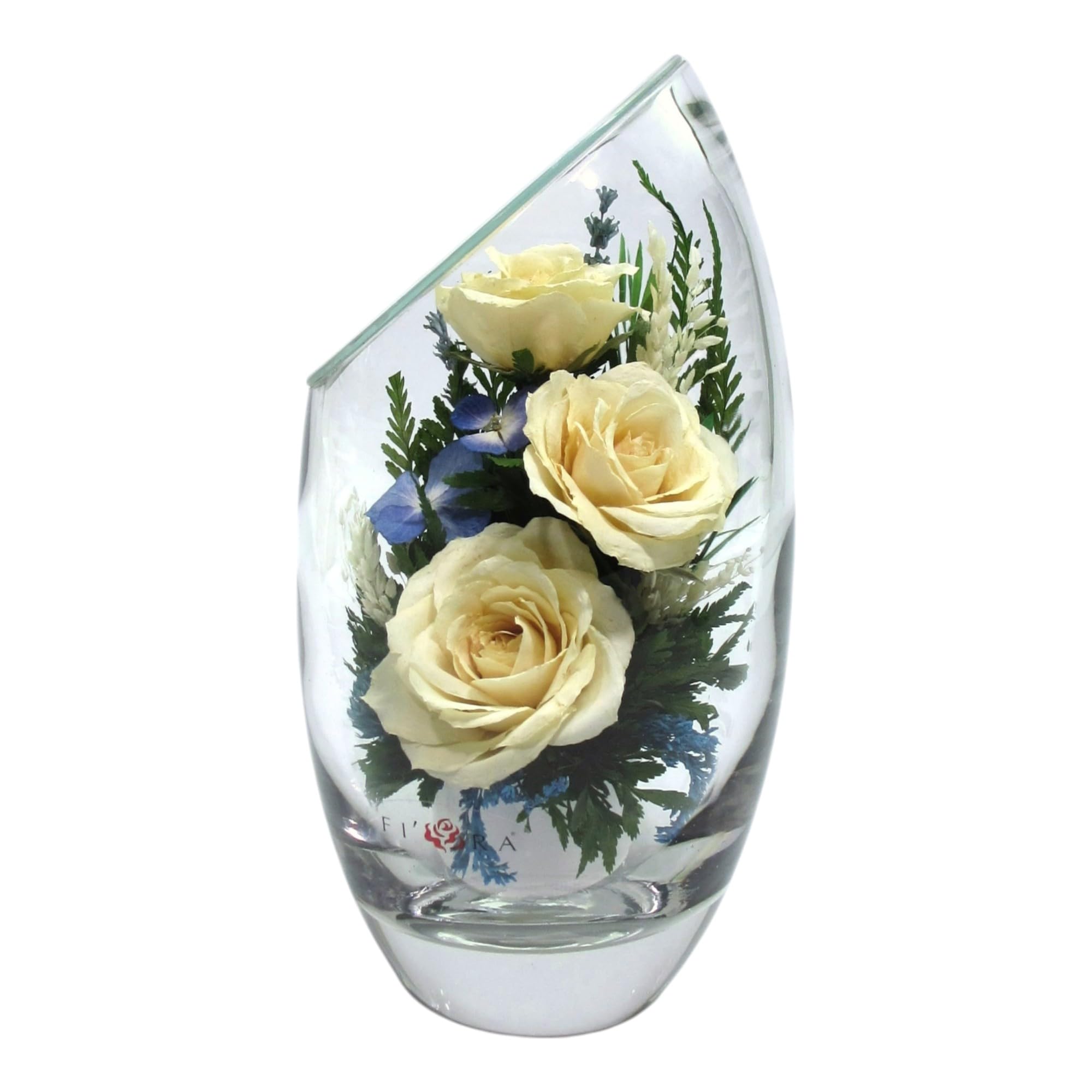 Amazon.com : Fiora Flower | Preserved Roses & Floral Arrangement in ...