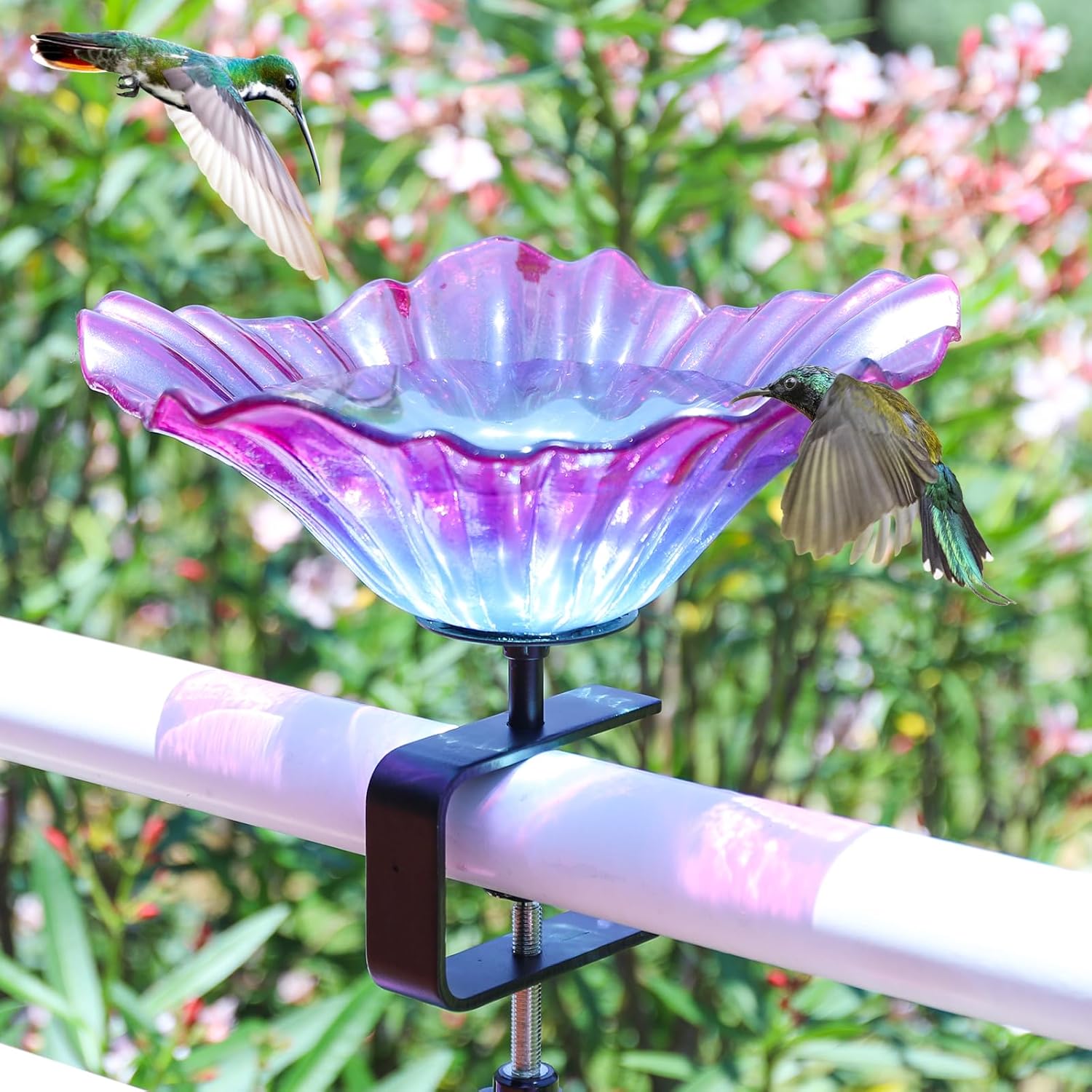Amazon.com: MUMTOP Deck Mounted Bird Baths for Outdoors, Glass Bird ...