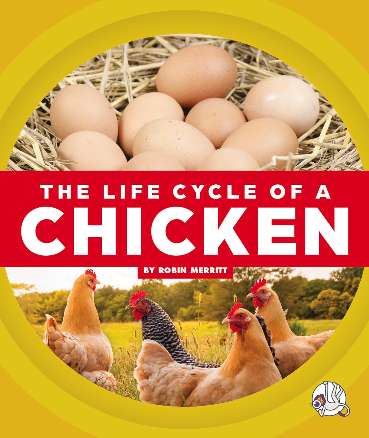The Life Cycle of a Chicken (Life Cycles) : Merritt, Robin: Amazon.co ...