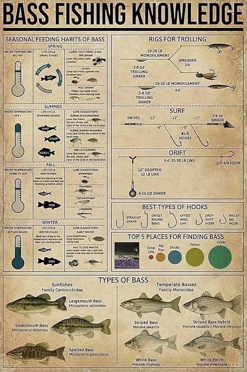 Amazon.com: Bass Fishing Knowledge 500 Piece Wooden Jigsaw Puzzles for ...