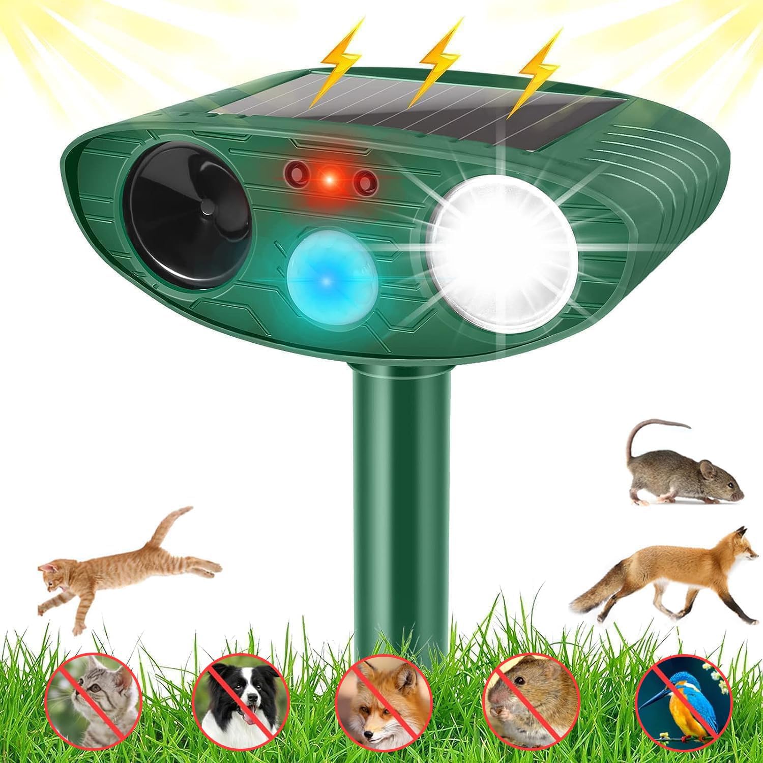Joomouney Cat Repellent Garden, Cat Deterrent Garden Solar Ultrasonic ...