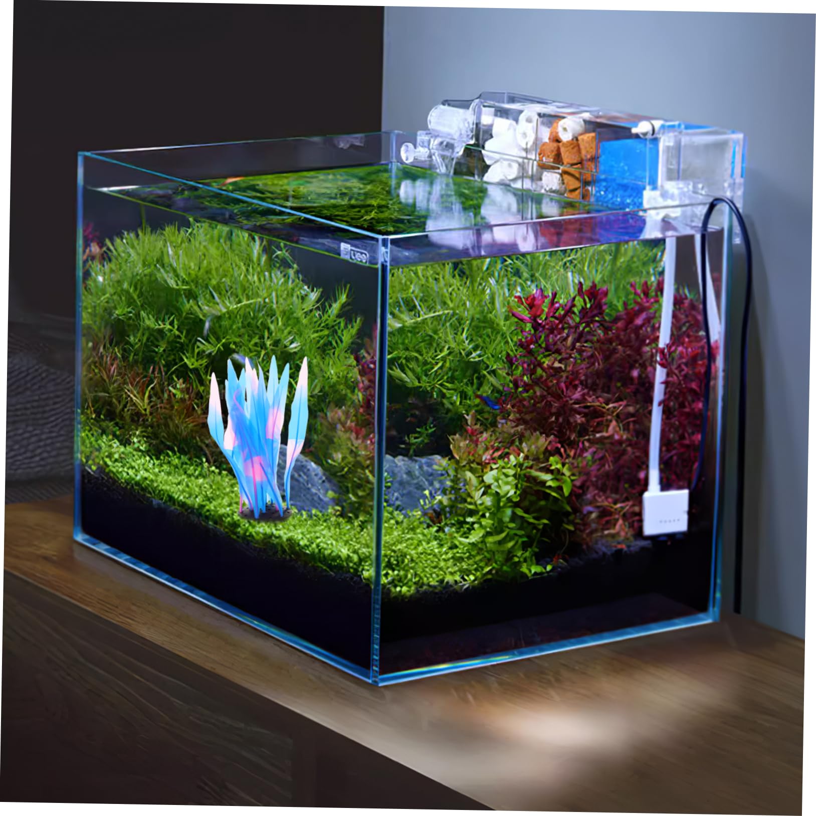 Aquarium Freshwater Large Branching Tree