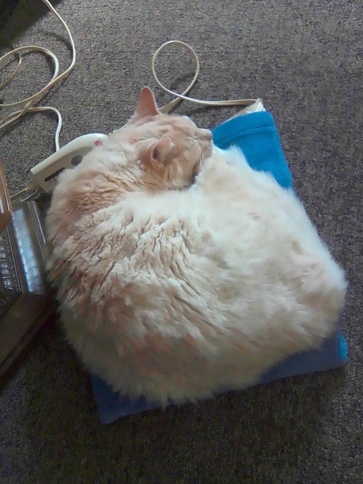 Amazon.com: Shop with Points - Mercury Rewards