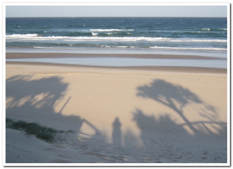 Amazon.com: Pat Noad: books, biography, latest update