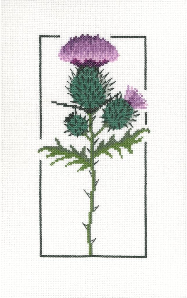 Cross stitch - Heather Anne Designs - Thistle : Amazon.ca: Everything Else
