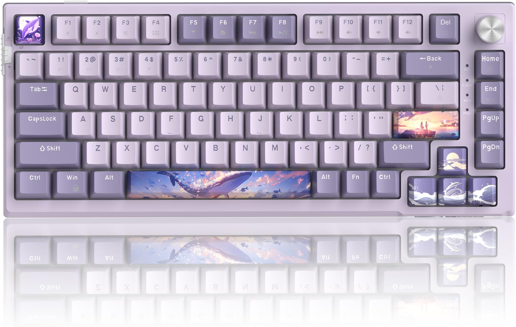 MageGee SKY81 75% Wireless Gasket Mechanical Gaming Keyboard, Hot ...