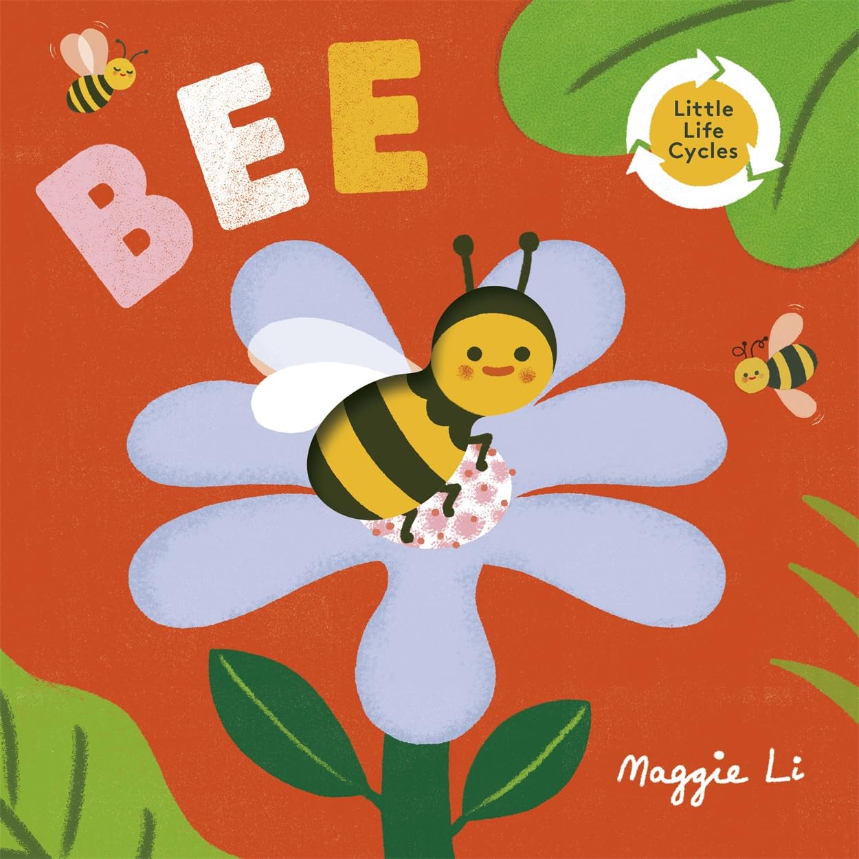Little Life Cycles: Bee : Li, Maggie, Li, Maggie: Amazon.co.uk: Books