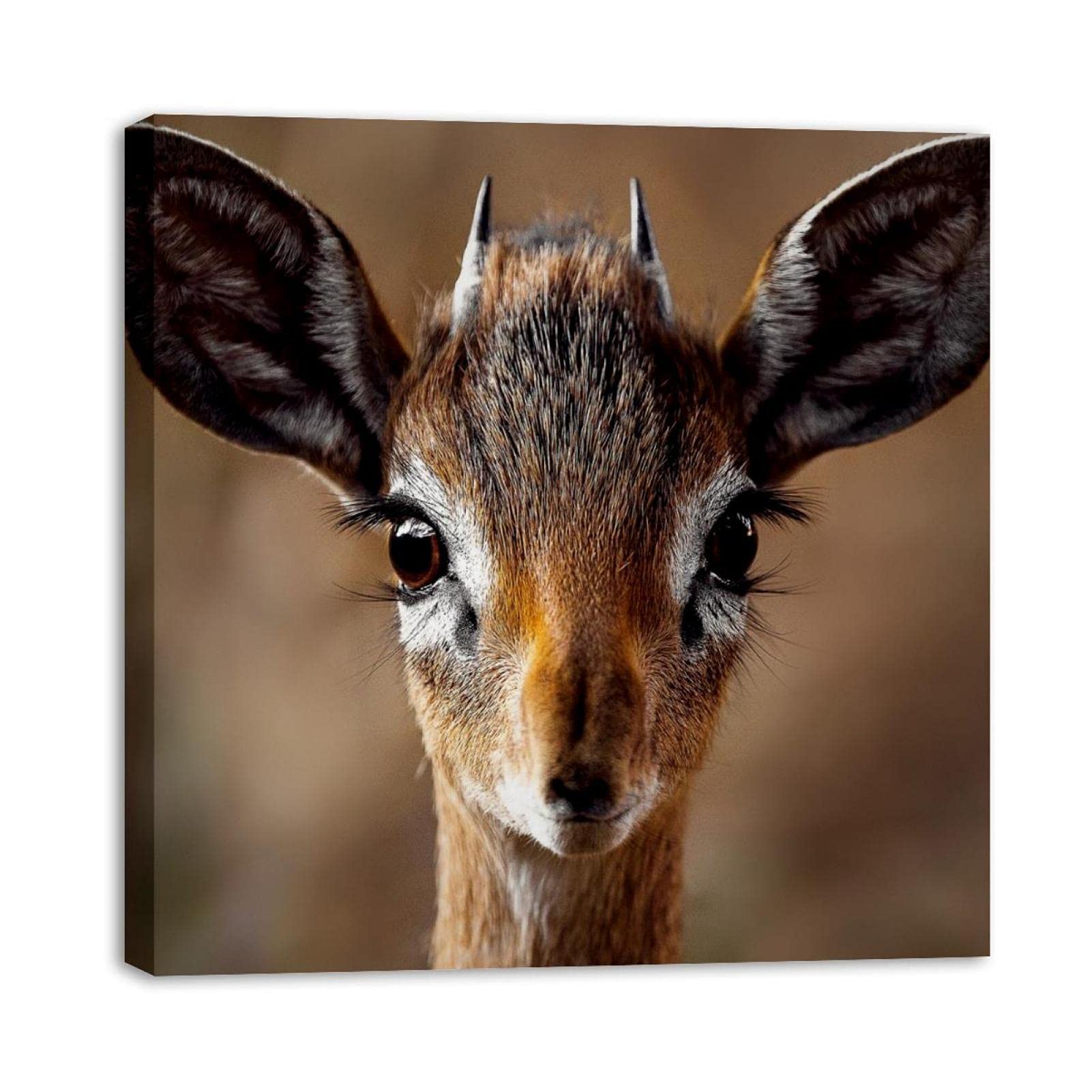 Antelope Face Paint