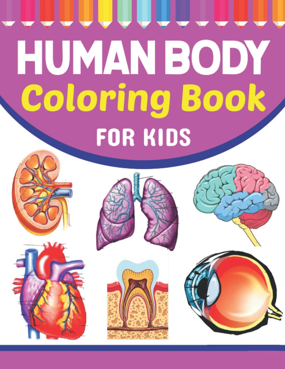 Human Body Coloring Book For Kids Learn The Human Anatomy | Desertcart ...