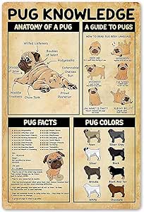 Amazon.com : Pug Knowledge Metal Tin Sign Wall Decor Anatomy Of A Pug A ...