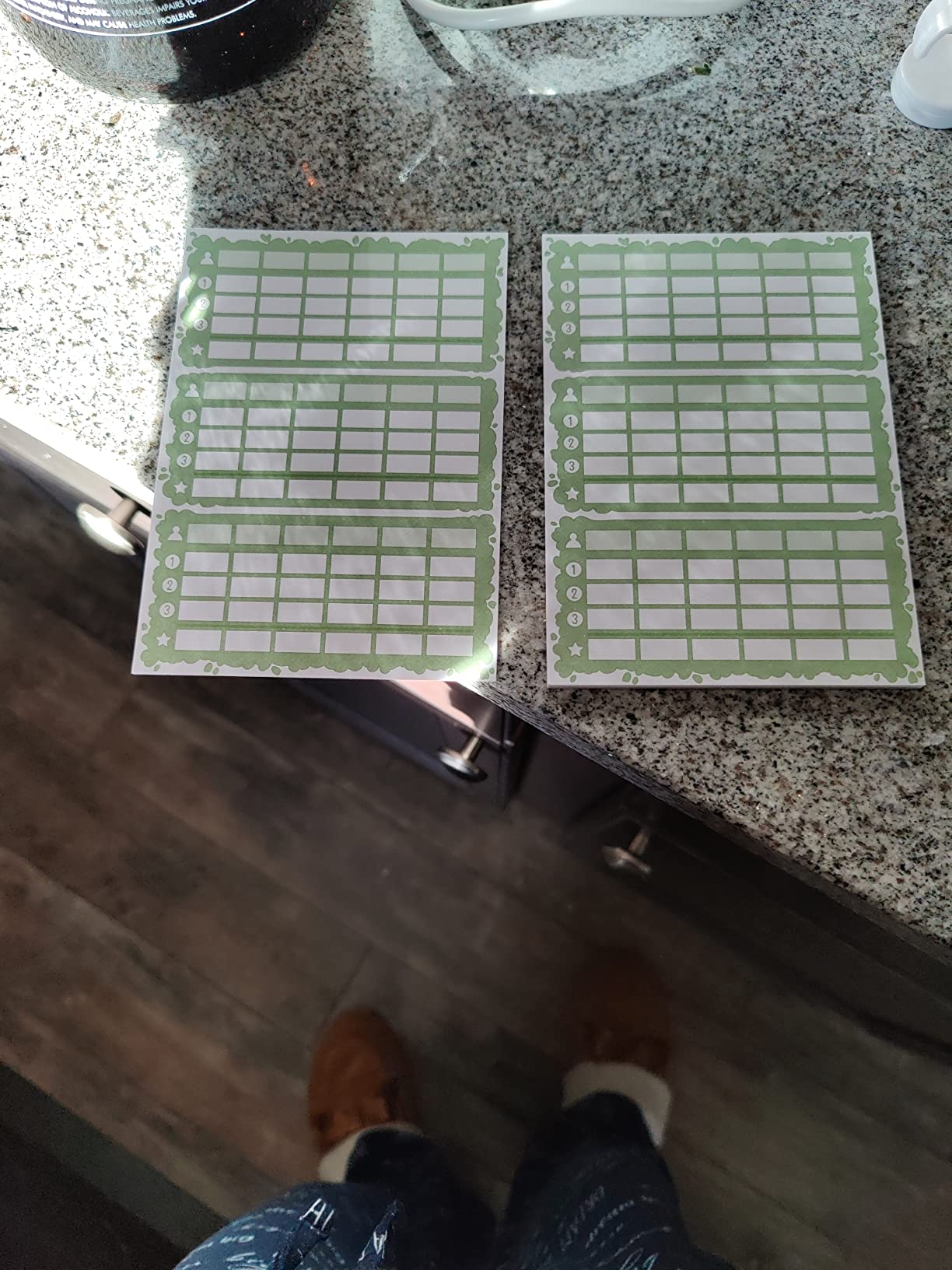 Amazon.com: Mesozooic Board Game - Dinosaur Zoo Building Game, Fast ...