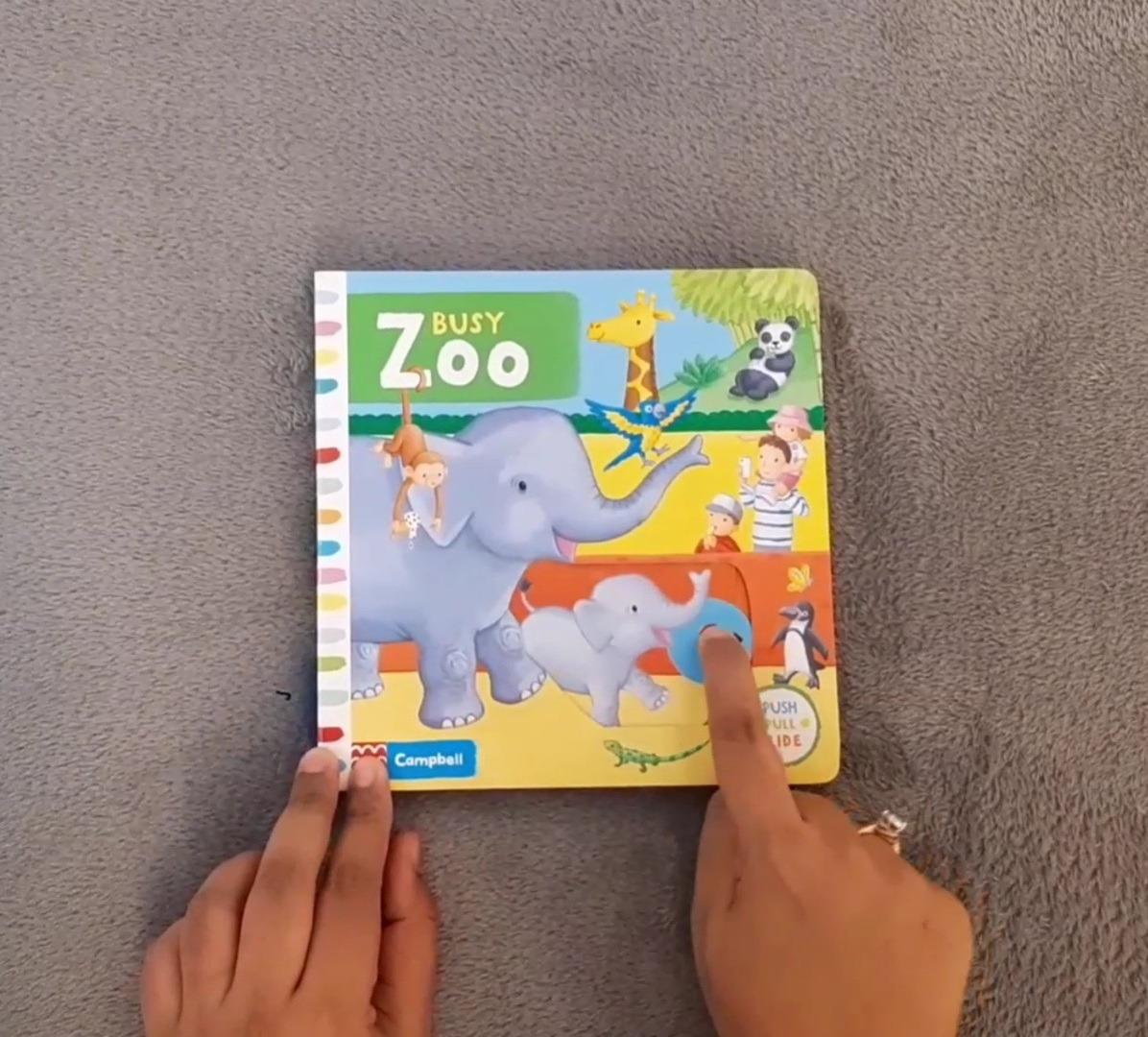 Busy Zoo : Rebecca Finn: Amazon.in: Books