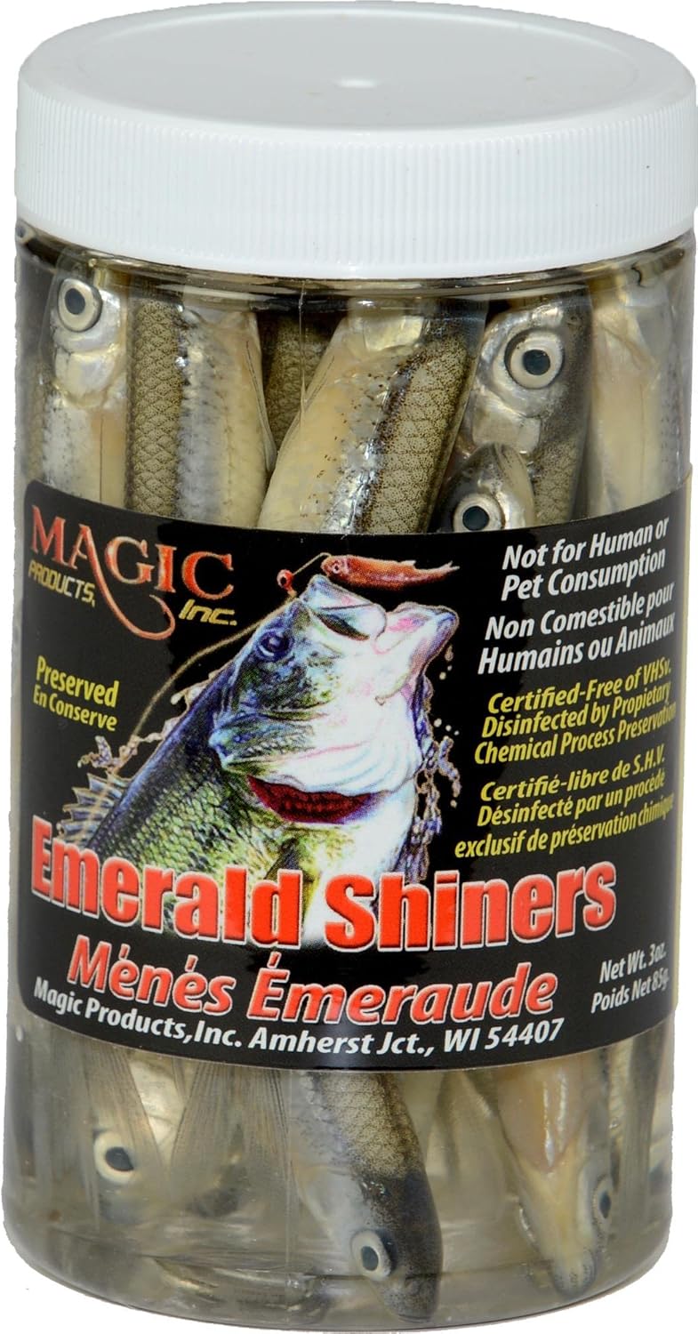 Amazon.com : Magic Products Medium Minnows Fishing Equipment : Complete ...