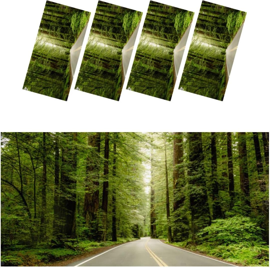 AJWGDJAWYV Fluorescent Light Cover 4x2’ Giants California Magnetic ...