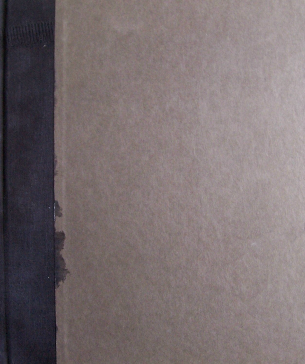RADIANT IDENTITIES by Jock Sturges [ First Edition, 1994 ] Photographs ...