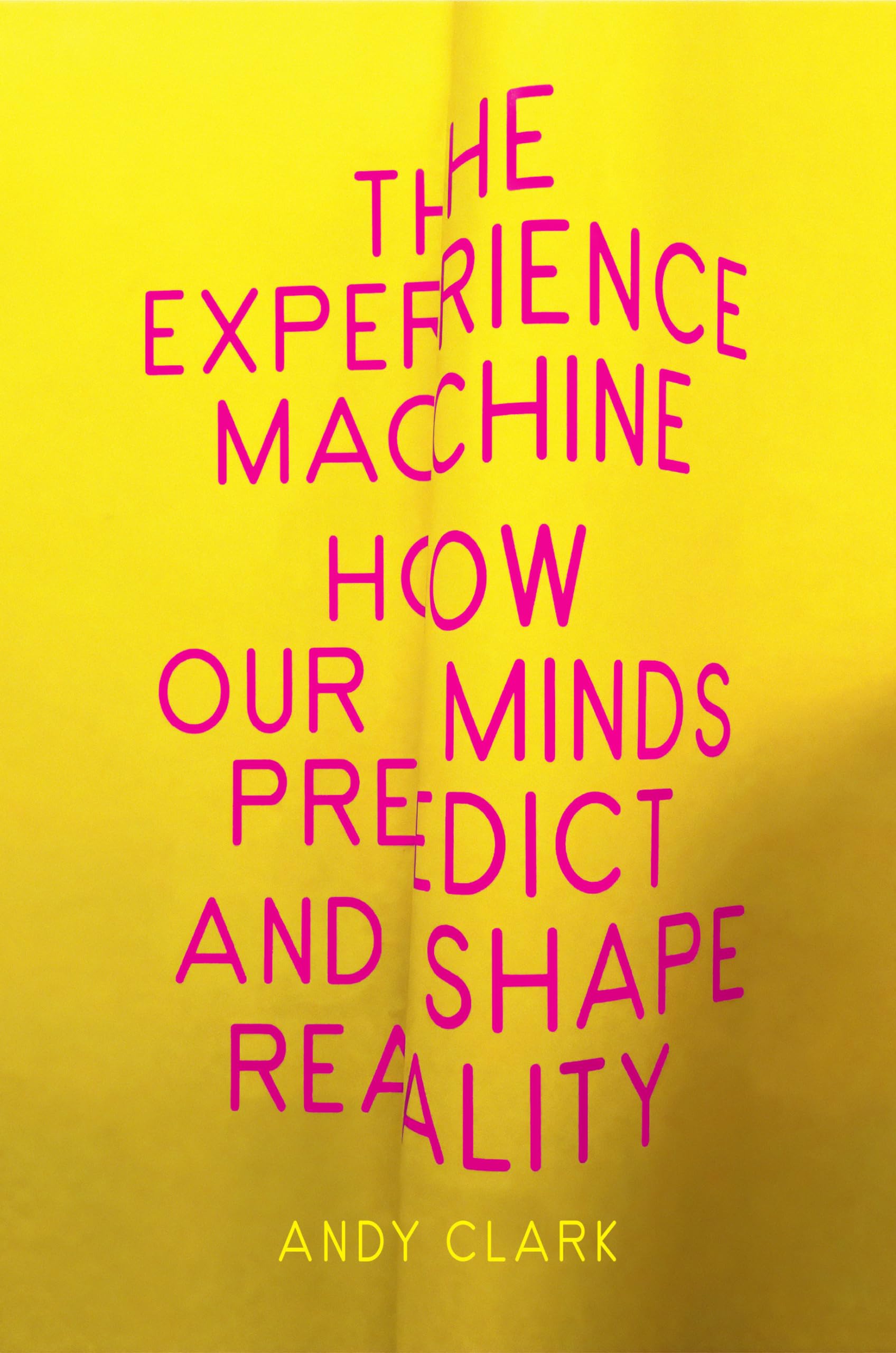 Snapklik.com : The Experience Machine: How Our Minds Predict And Shape Reality