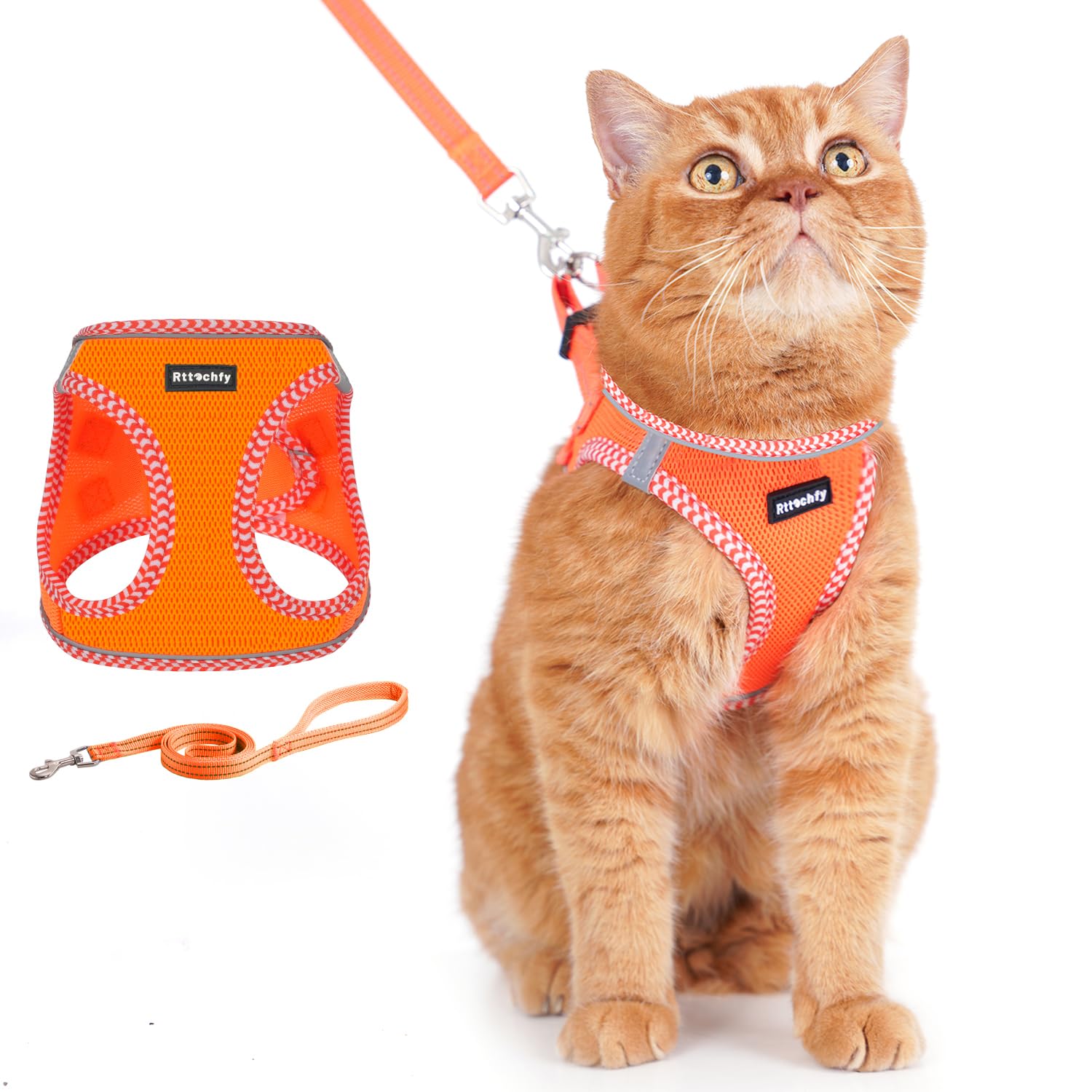 Pet Supplies : Rttochfy Cat Harness and Leash Set, Escape Proof Kitten ...