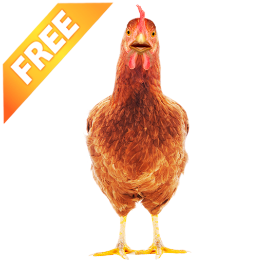 Real Talking Chicken - Aplicativo na Amazon Appstore
