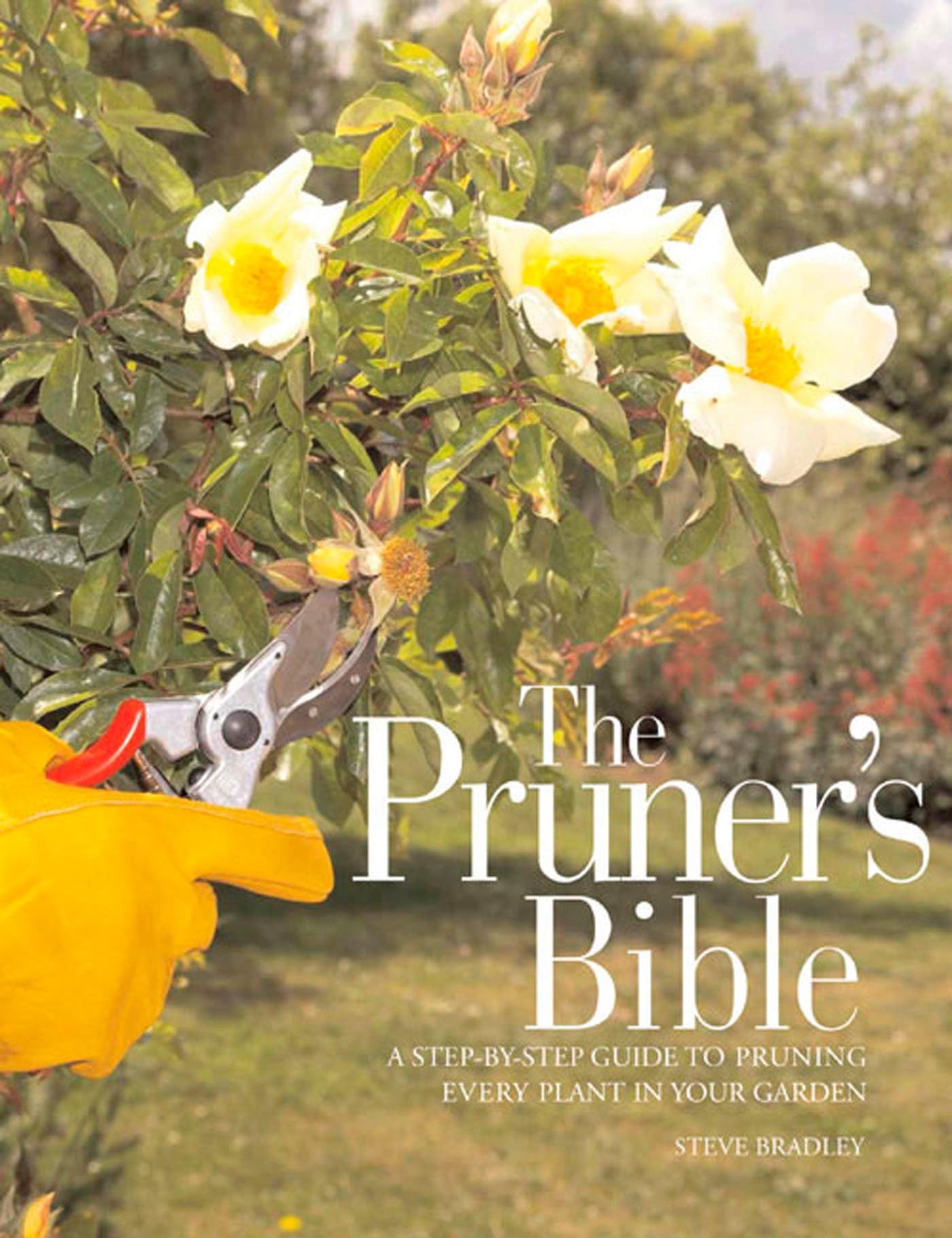 The Pruner's Bible: A Step-by-Step Guide to Pruning Every Plant in Your ...