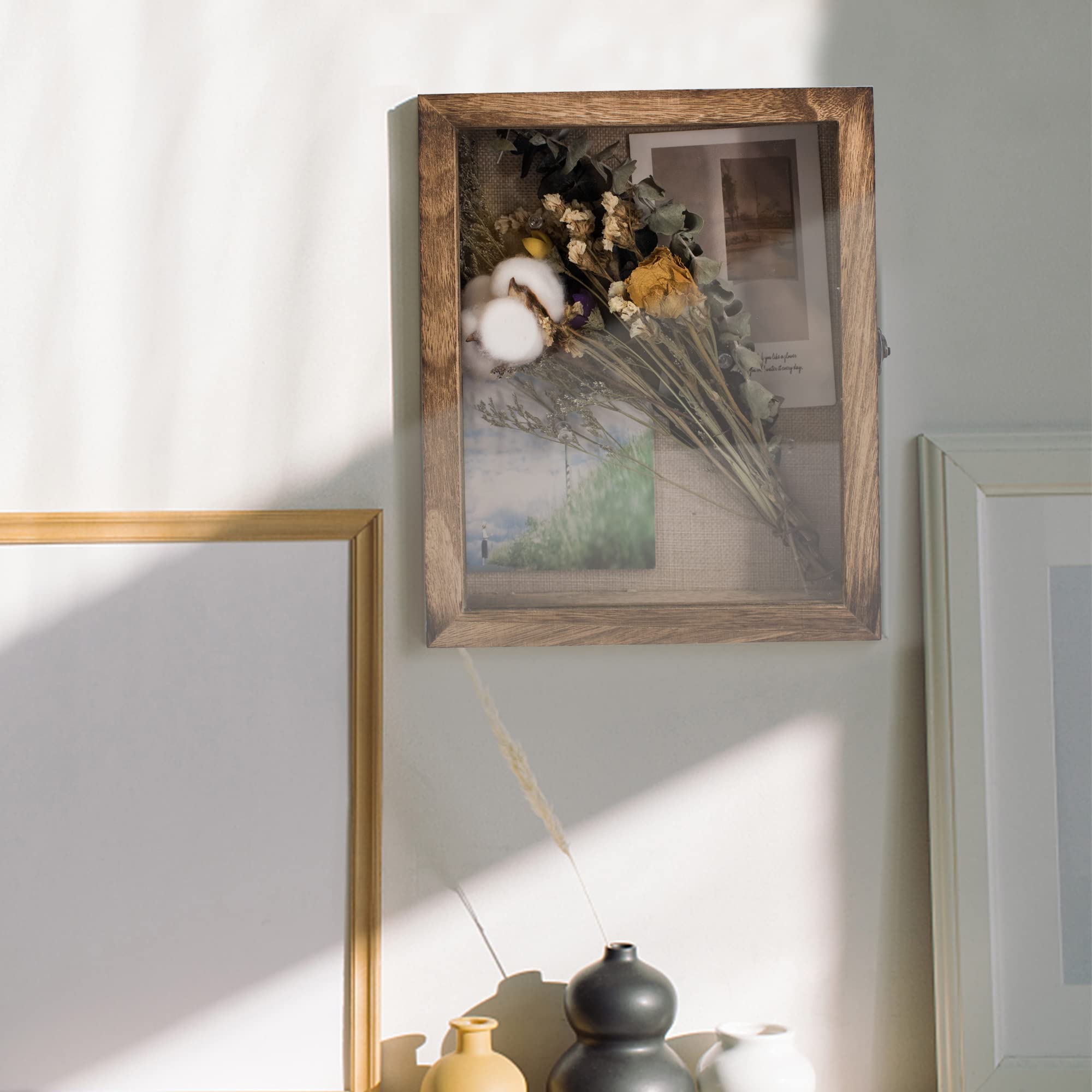 Snapklik.com : GraduatePro Shadow Box Frame 8x10 Display Case