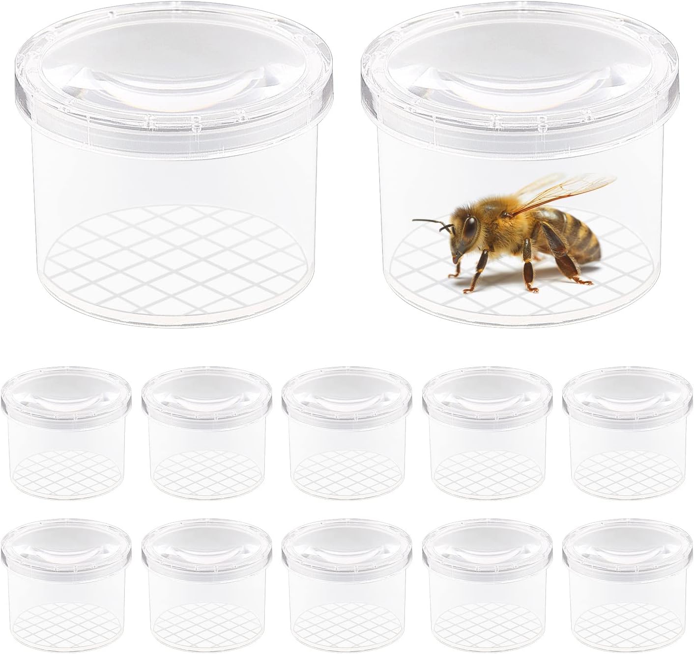 Jouseer Magnifying Insect Container (12 Pack) - Clear Observation Bug ...