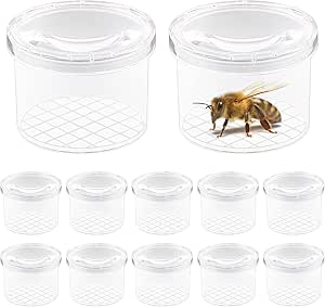 Jouseer Magnifying Insect Container (12 Pack) - Clear Observation Bug ...