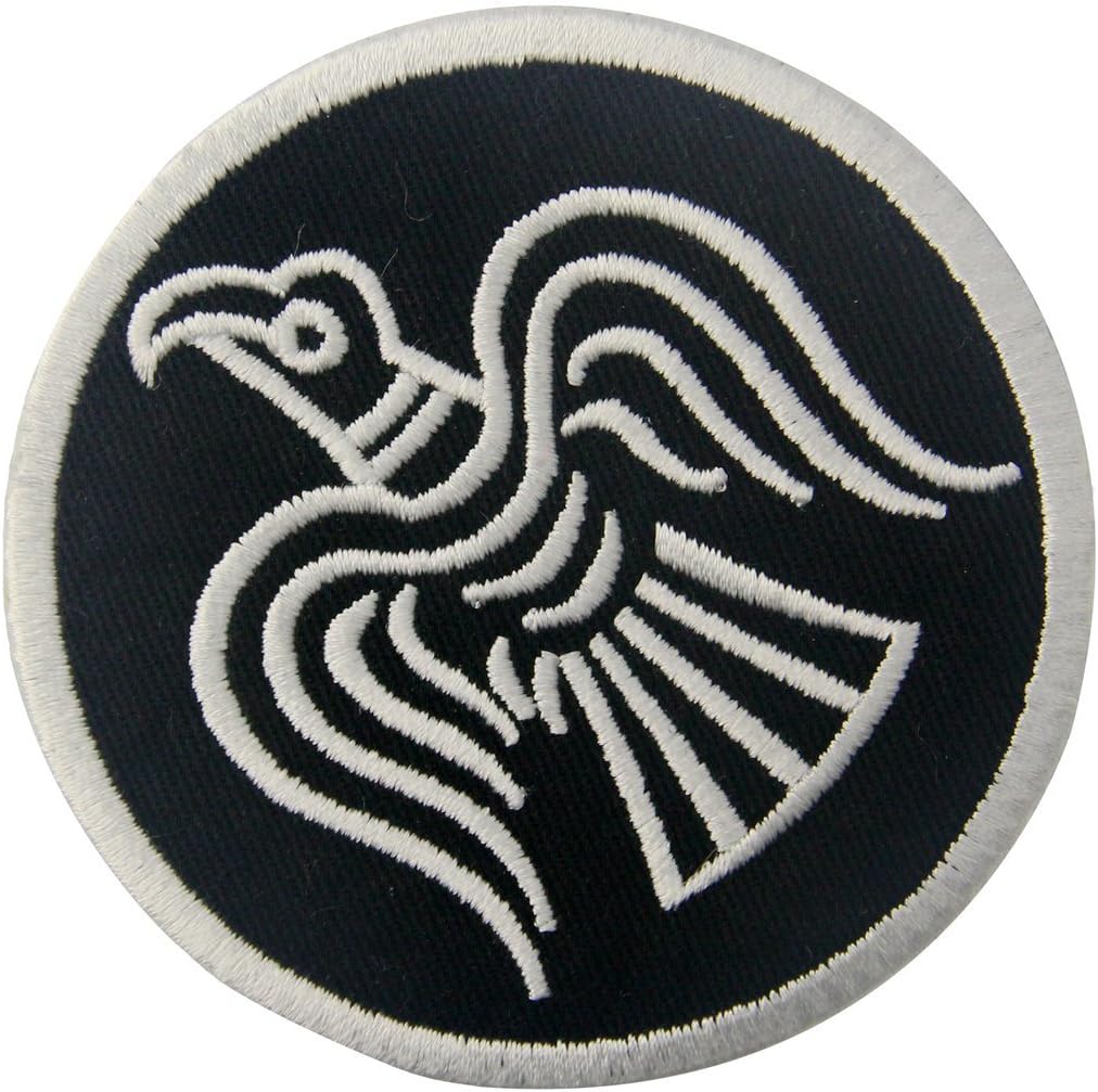 Amazon.com: 5pcs Set Vikings Iron On Patches Embroidered Norse Rune ...