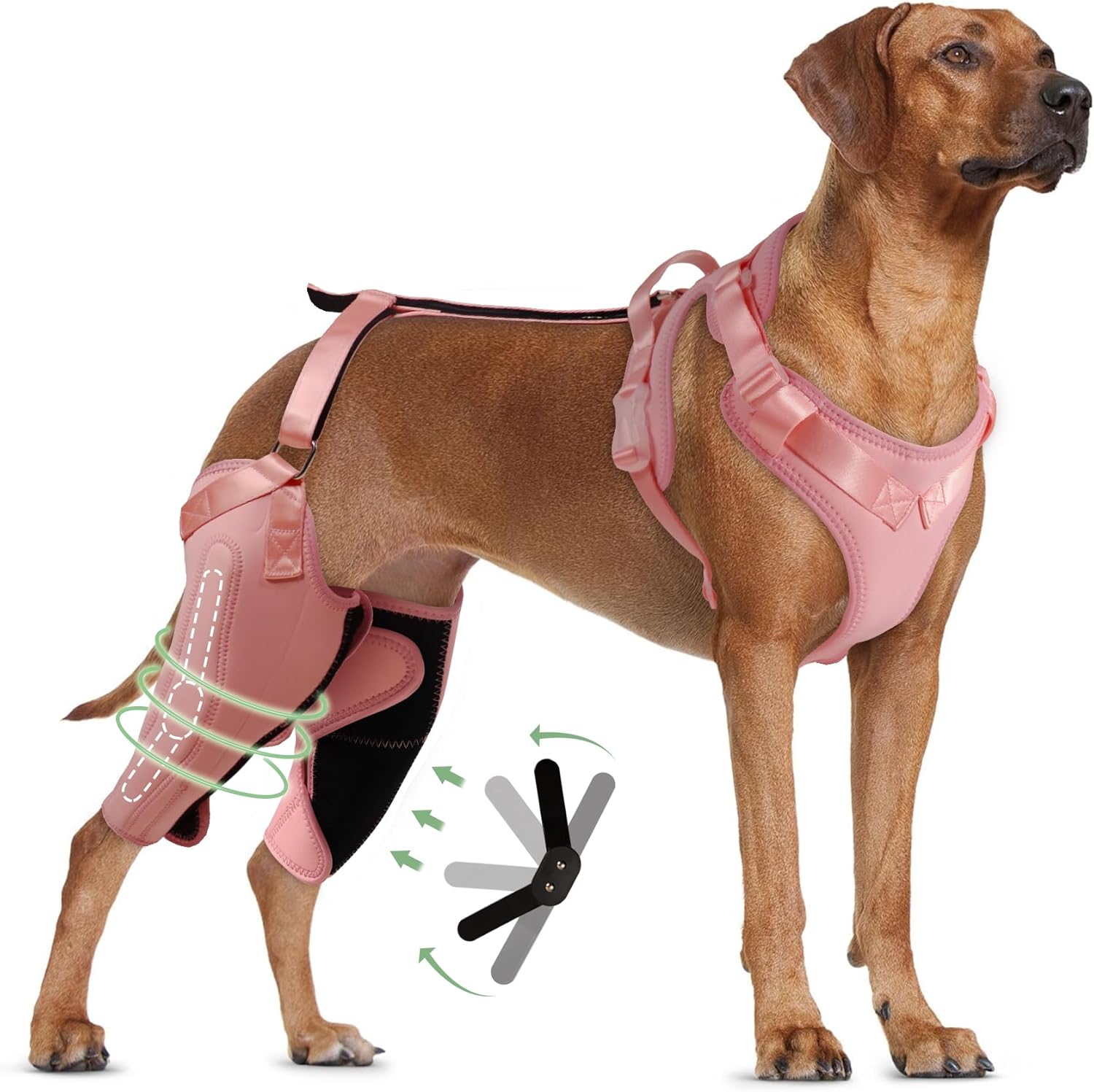 LISPOO Dog Knee Brace for Torn Acl Hind Leg, Dog Leg Braces for Back ...