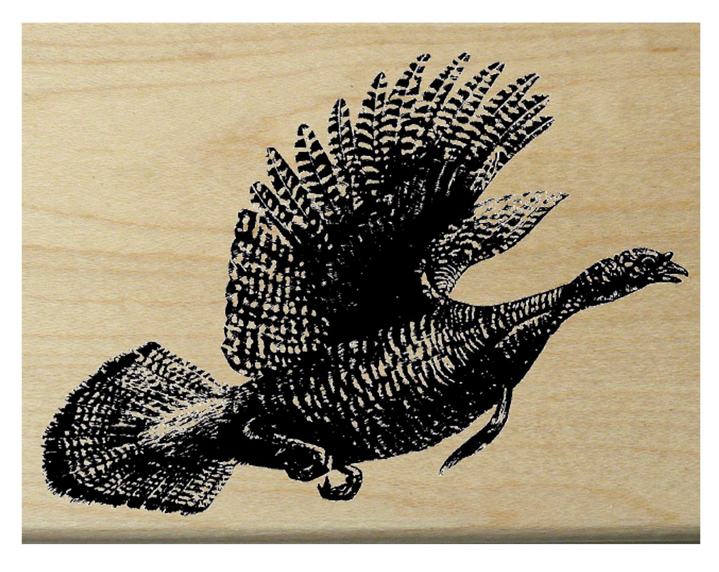 Amazon.com: P12 Flying Wild Turkey Rubber Stamp WM : Arts, Crafts & Sewing
