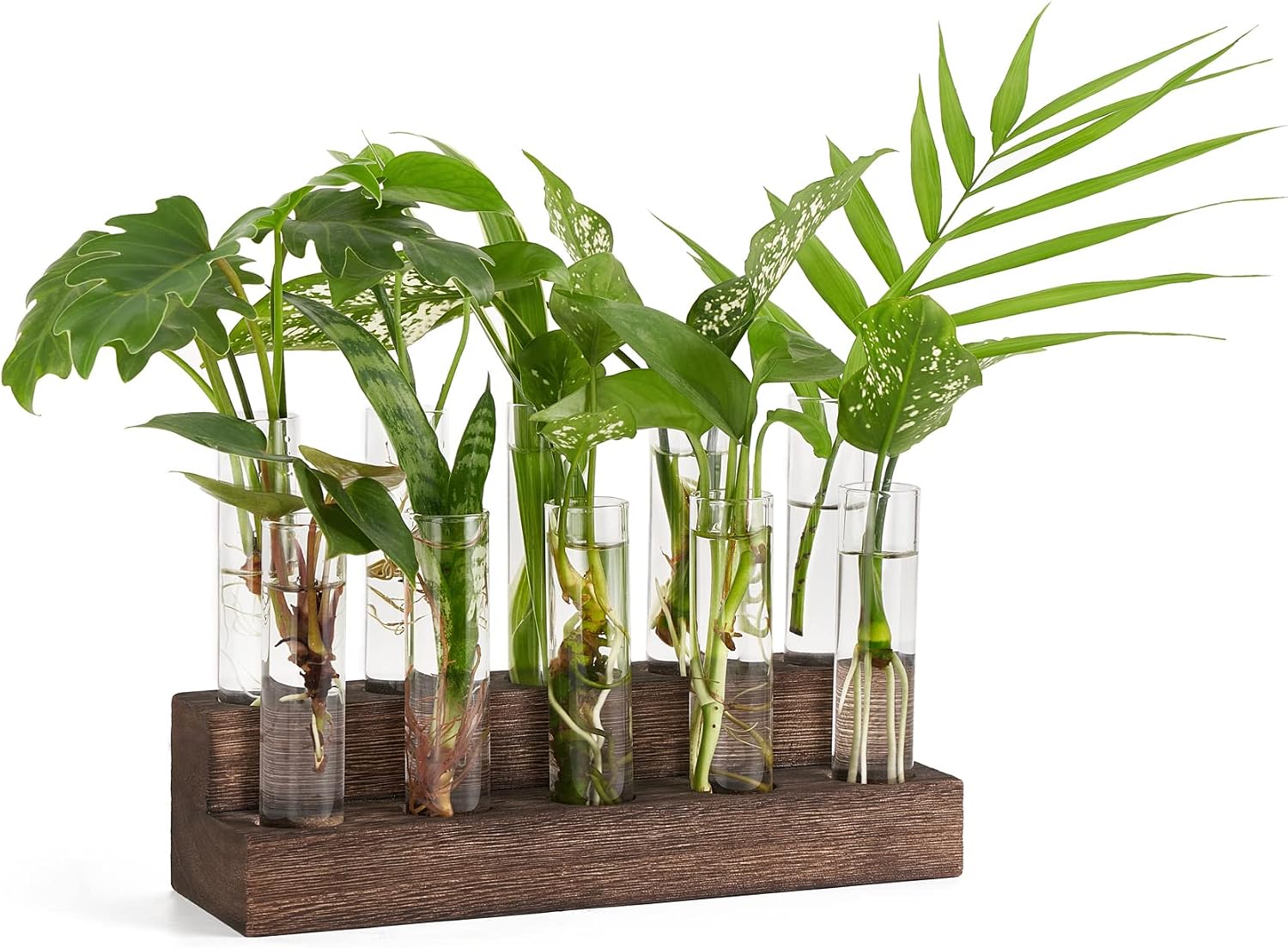 Amazon.com: Mkono Desktop Plant Propagation Glass Vase Planter Station ...
