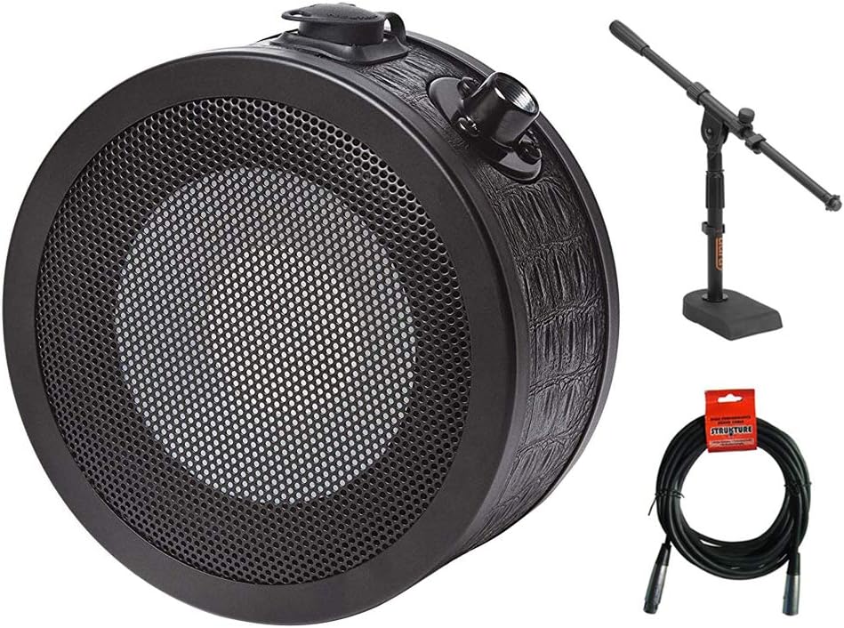 Amazon.com: SOLOMON MiCS LoFReQ Sub Microphone Custom Gold Dust Black ...