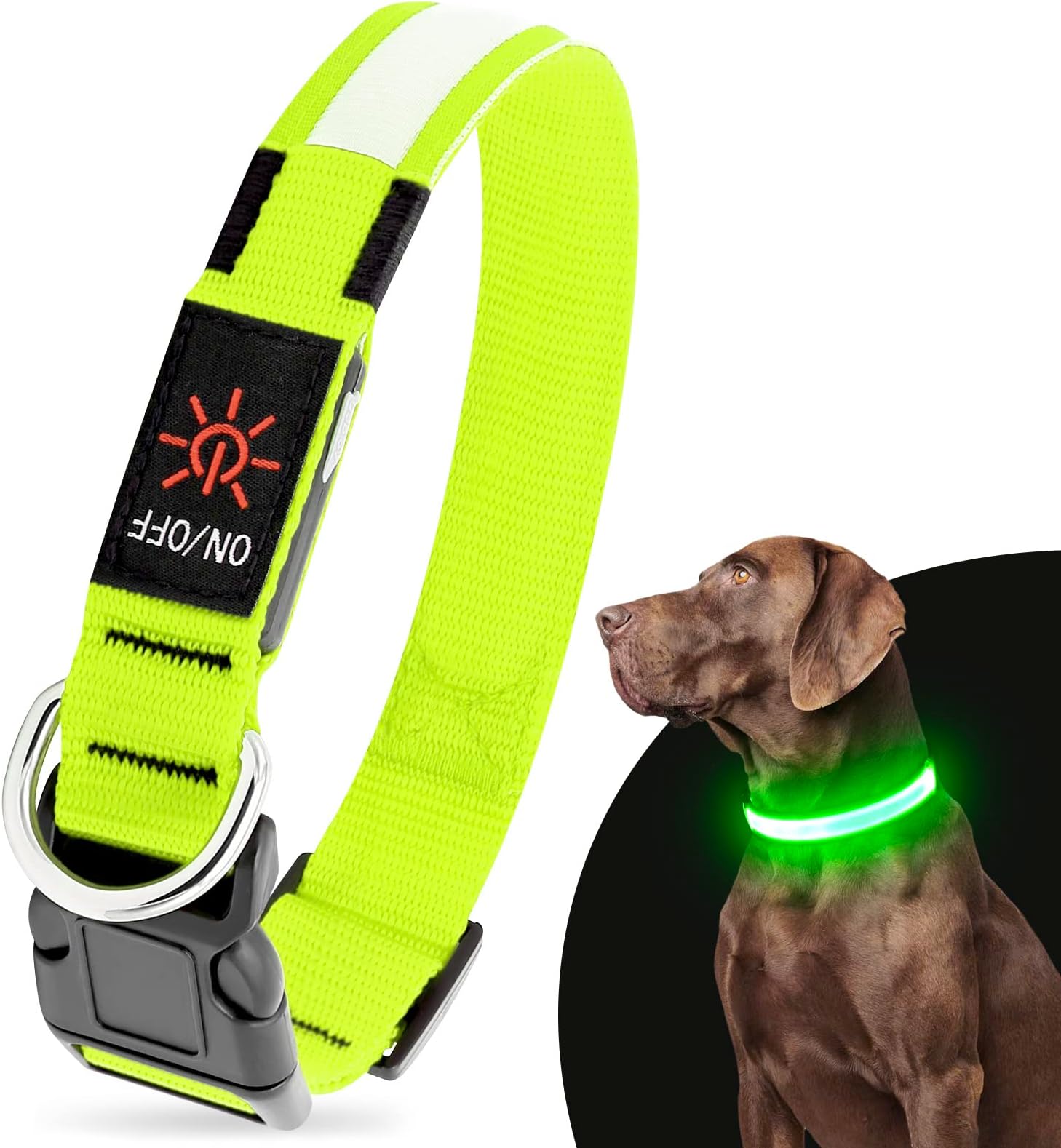 Amazon.com : LED Dog Collar, USB Rechargeable Light Up Dog Collars ...