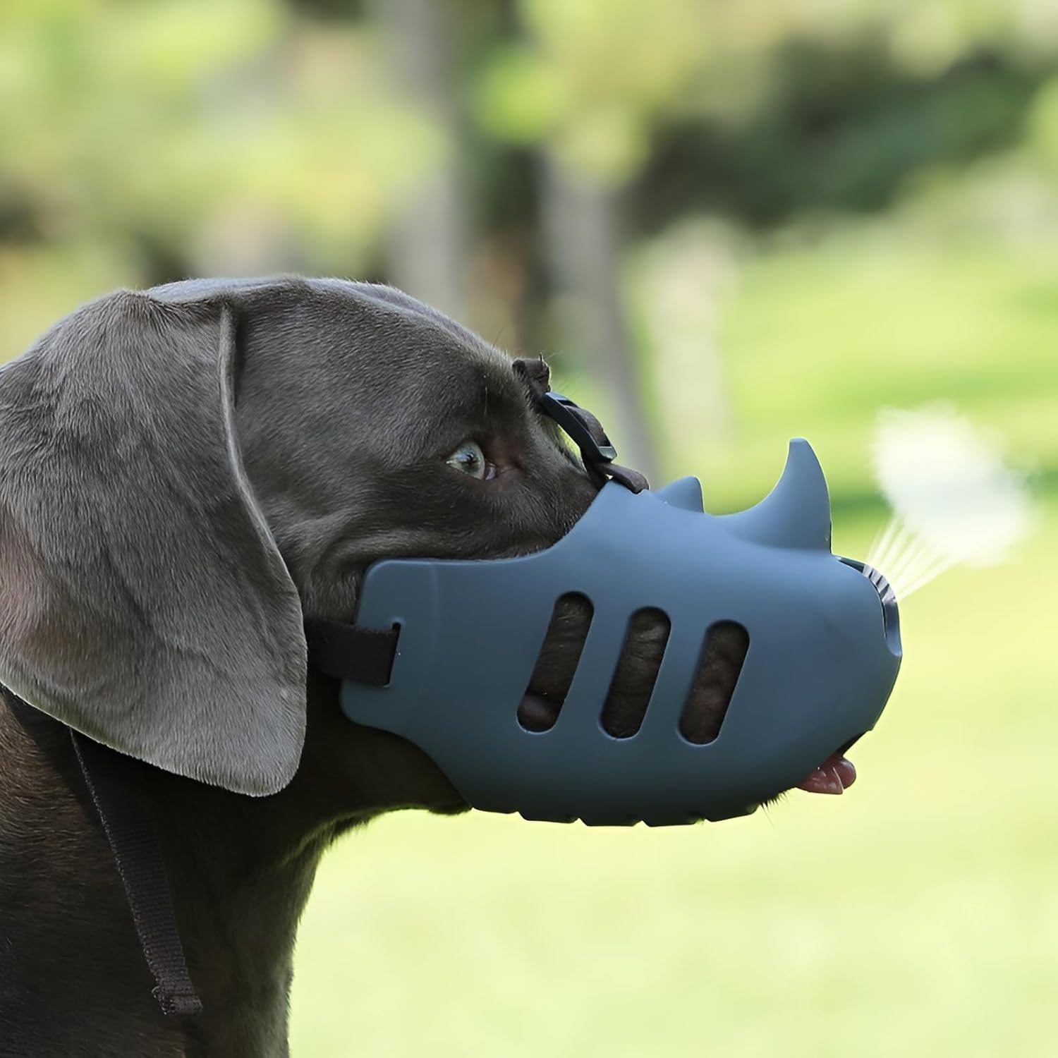 Jungle Thoery Silicone Rhino Muzzle | Pet Mouth Cover, Anti-bite, Anti-Scream, Anti-Eating ...