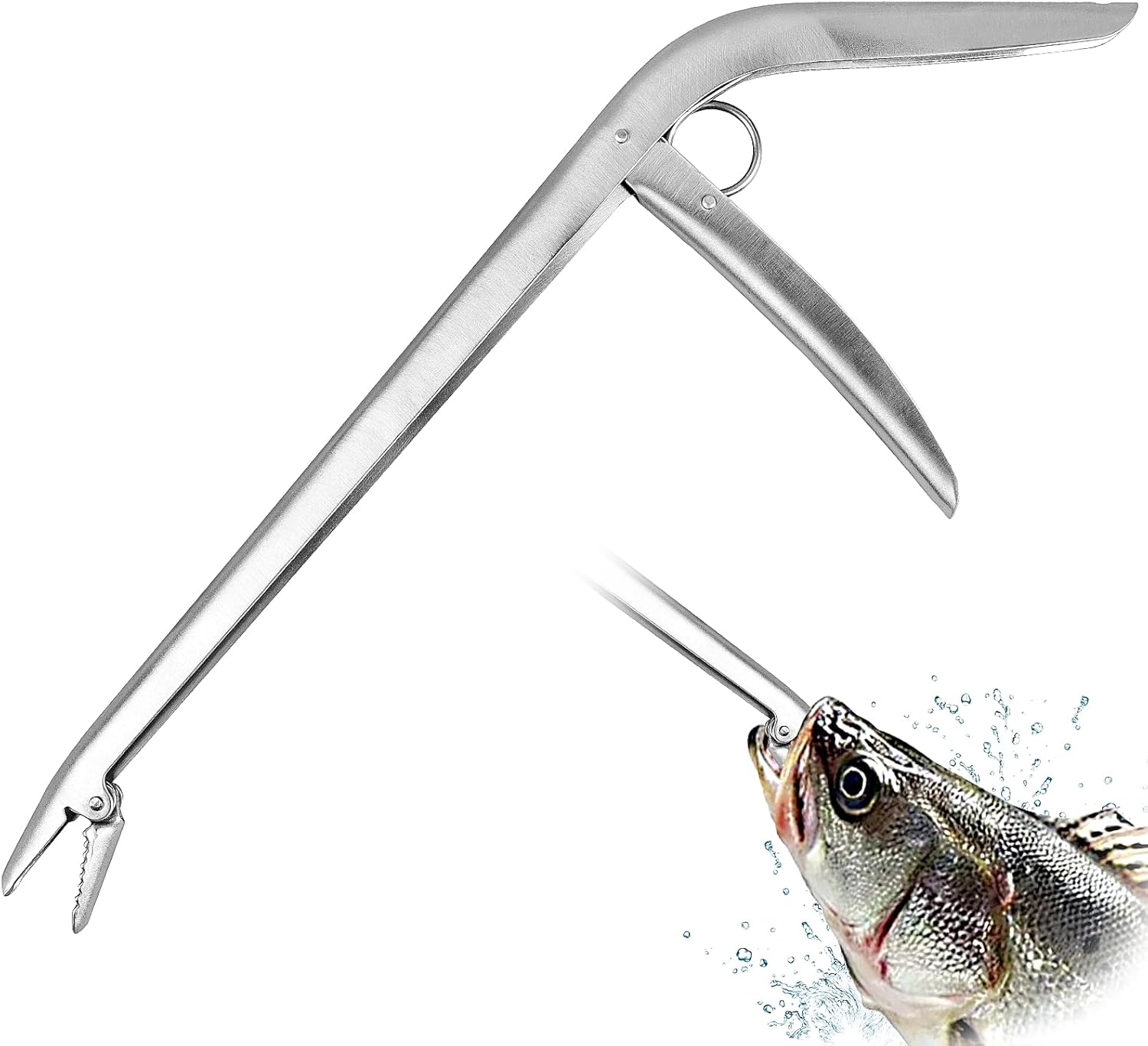 Amazon.com: Fish Hook Remover, Premium Stainless Steel Fish Hook ...