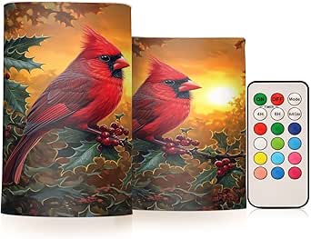 Amazon.com: feiquan Flameless Candles Red Cardinal Setting Sun LED ...