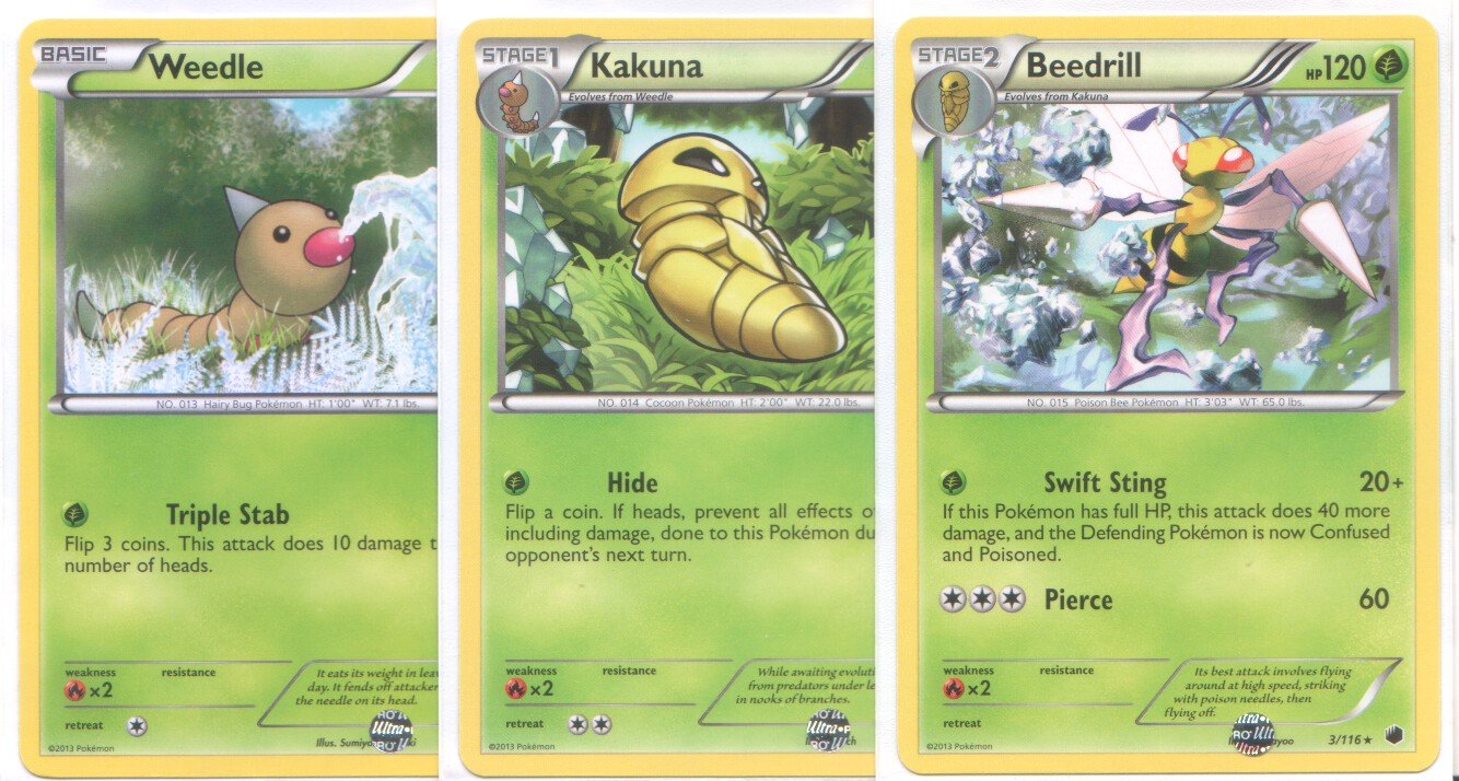 Beedrill Evolution Chart