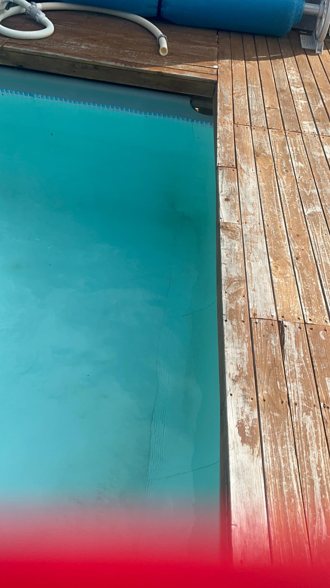 Hydrus Pool Cleaner for Above Ground, Cordless Robot Pool Vacuum with ...